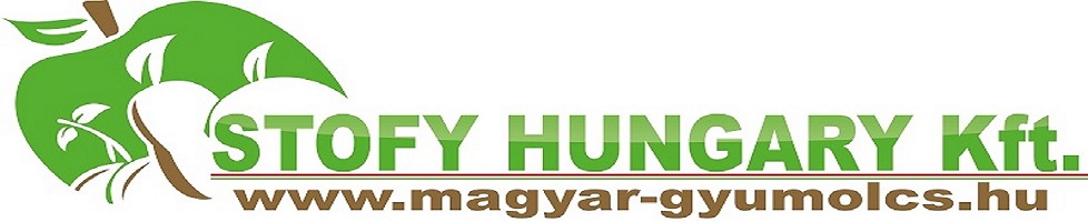 STOFY HUNGARY Kft. tesztelés céljából létrehozva | Az a honlap ...